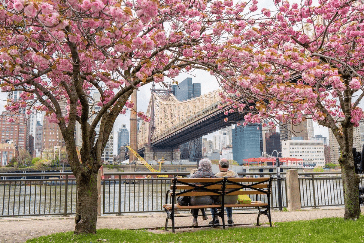 Reasons to Embrace Spring in Brooklyn – 2024 Guide - ALL TRAVEL UPDATES