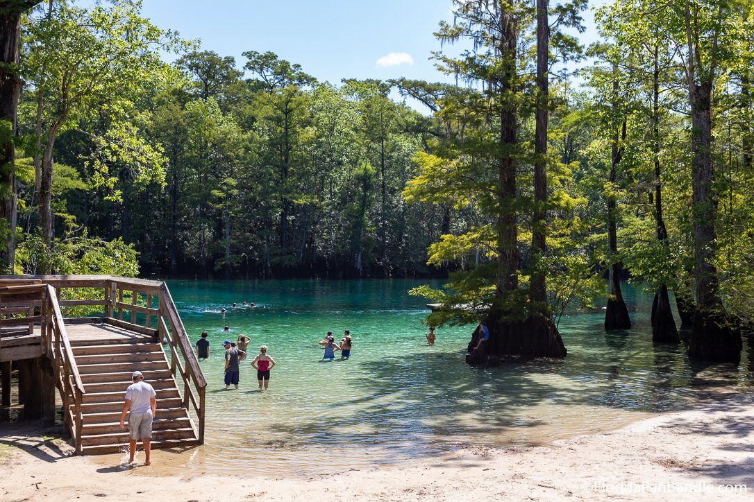 Discovering Morrison Springs, Florida: A Hidden Gem for Nature Lovers ...